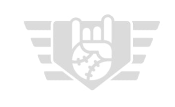 Rake Baseball Company